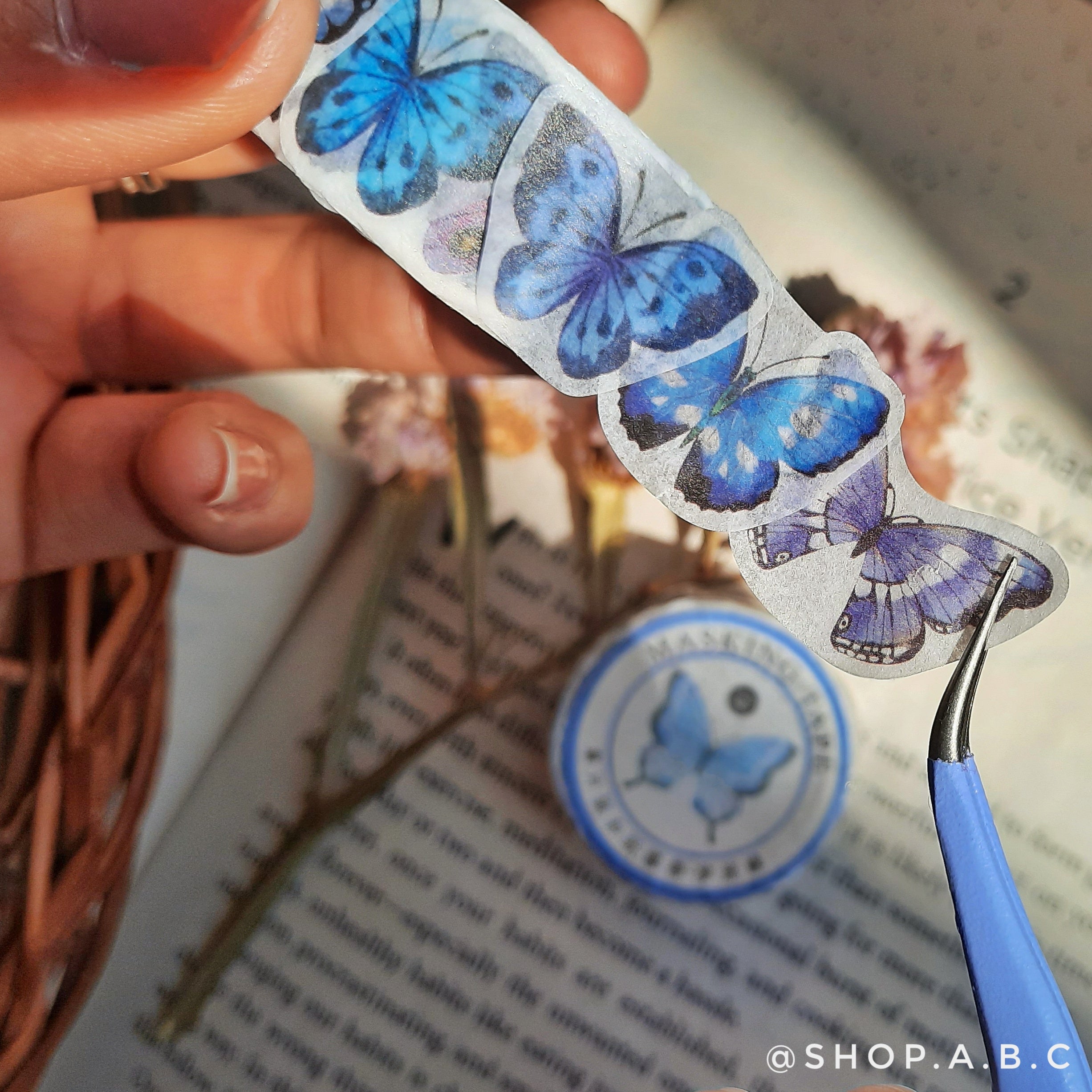 Solo Washi Tape – SHOP ABC